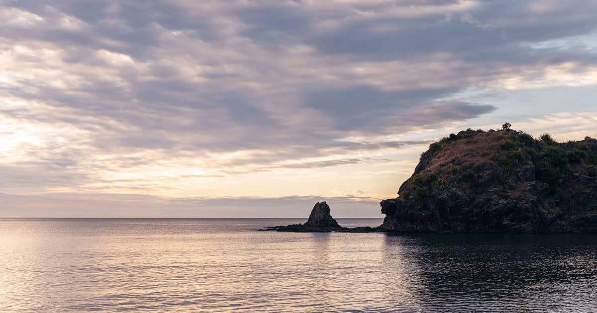 News, events, and recipes | New Zealand Wine | Cloudy Bay