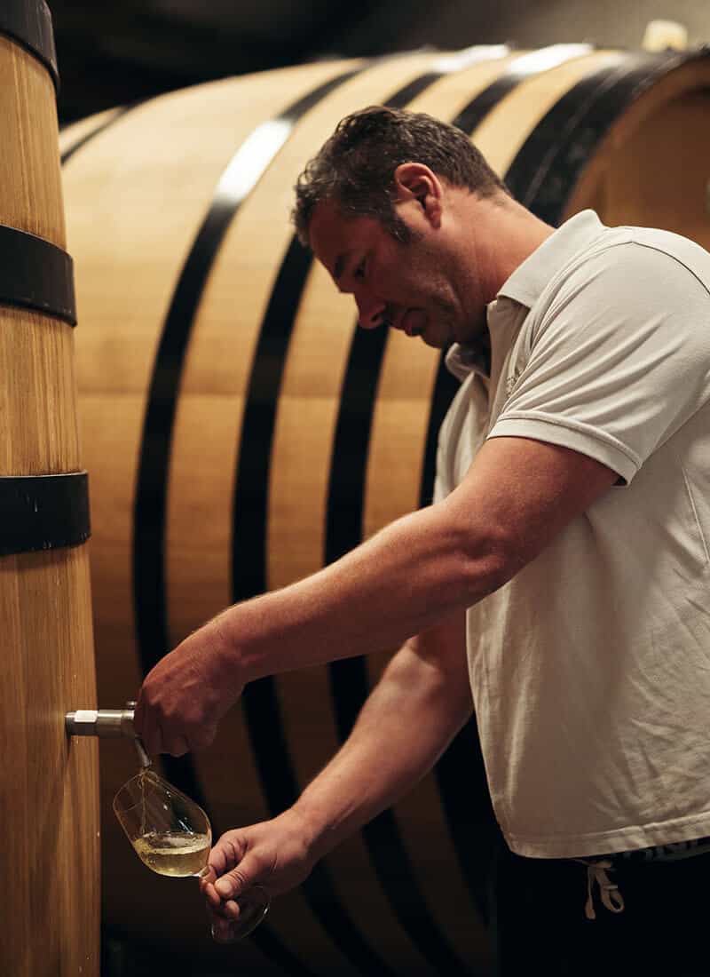 Te Koko Sauvignon Blanc 2020 | Marlborough | NZ Wine